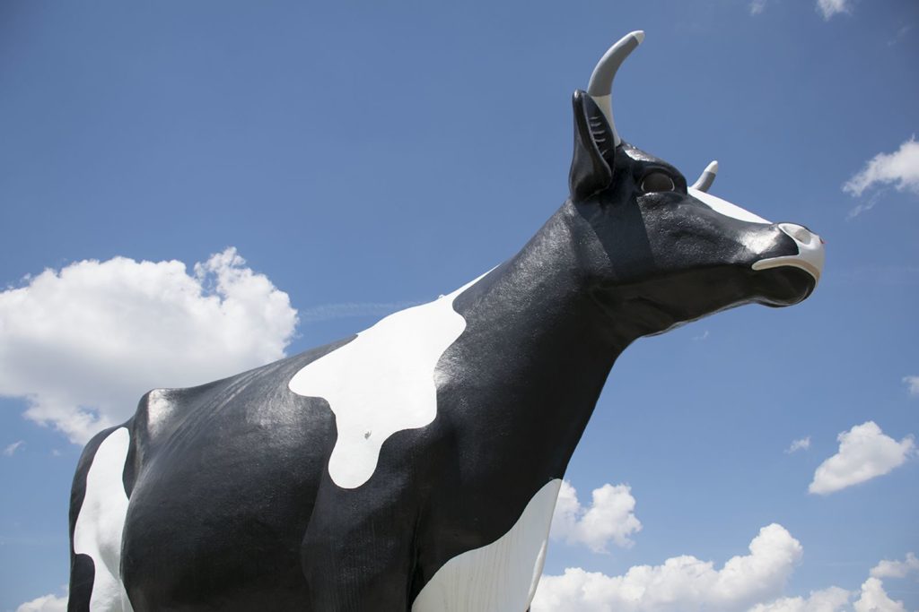 hero-cow - The Village of Minerva