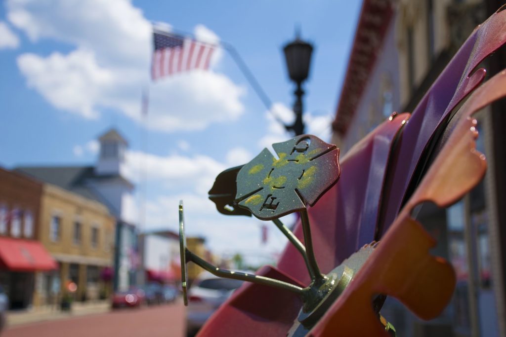 hero-flower-art - The Village of Minerva